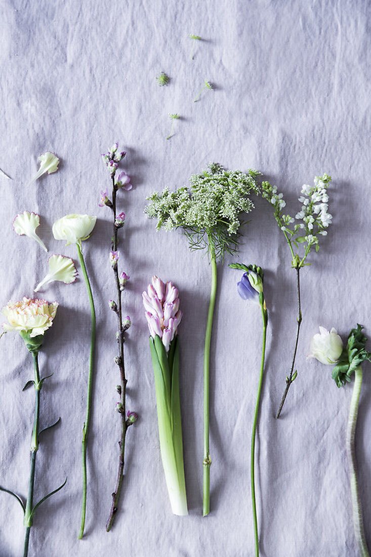 Pastel Spring Flowers – License Features – 12872442 House of Pictures