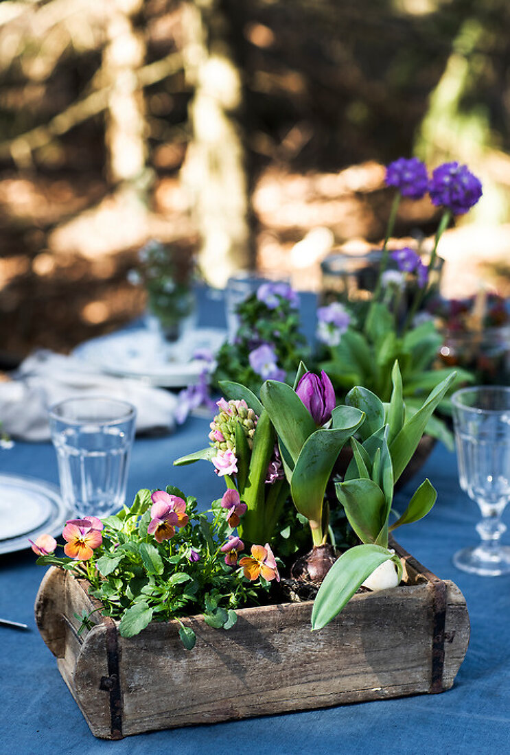 Charming Spring – License Features – 13206850 House of Pictures