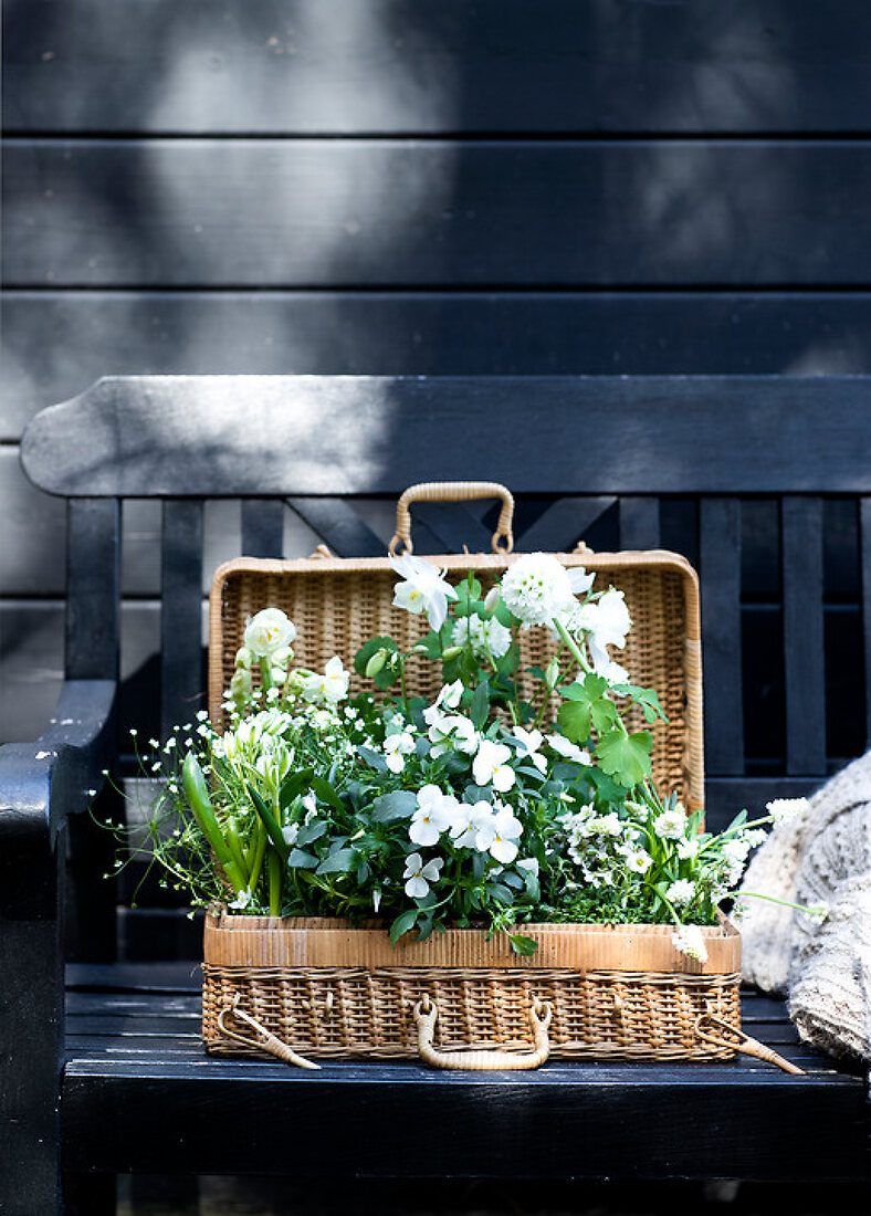 Charming Spring – License Features – 13206850 House of Pictures