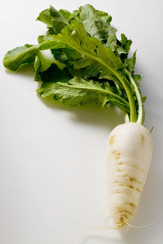 Weisser Rettich – Bilder kaufen – 928450 StockFood