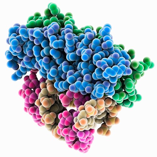 Rna Interferenz Bilder Science Photo Library