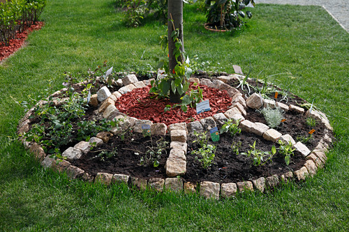 Rundes Beet Bilder – Garten-Fotos kaufen Gartenbildagentur Friedrich ...