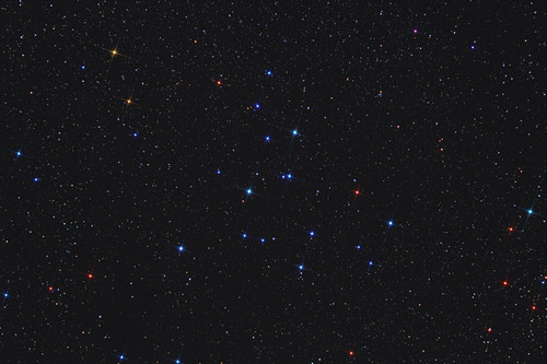 Cygnus Bilder Science Photo Library