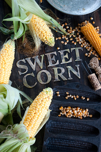 Corn Features – License unique interior design articles House of Pictures