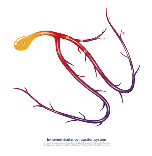 Conduction Photos Science Photo Library