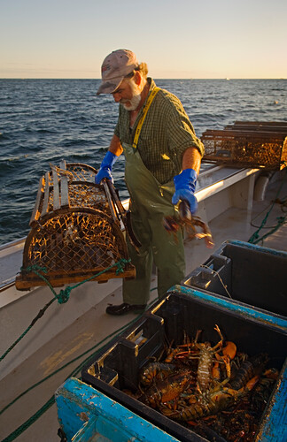 Lobster Fisherman Photos – License unique travel photos lookphotos