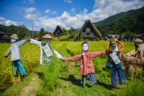 Scarecrows Photos – License unique travel photos lookphotos