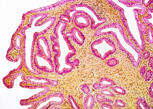 Sexuelle Erregung Bilder Science Photo Library