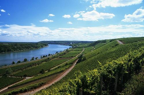 Roter Hang Bilder – Reise-Fotos kaufen lookphotos