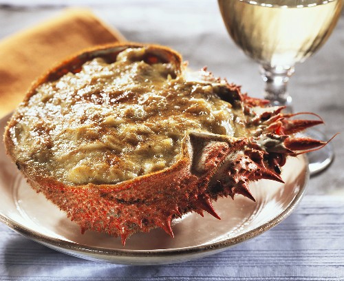 Meeresspinne Bilder – Food-Fotos kaufen StockFood