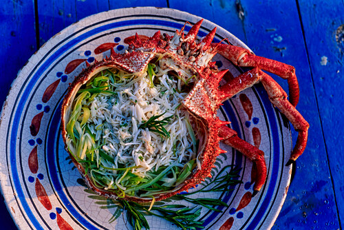 Meeresspinne Bilder – Food-Fotos kaufen StockFood