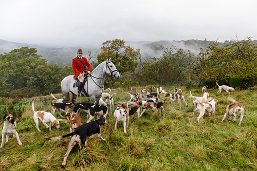 Scotland Photos – License unique travel photos lookphotos
